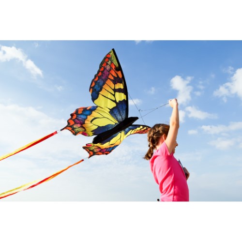 Butterfly Kites | BUTTERFLY KITE SWALLOWTAIL 'L' | 106542